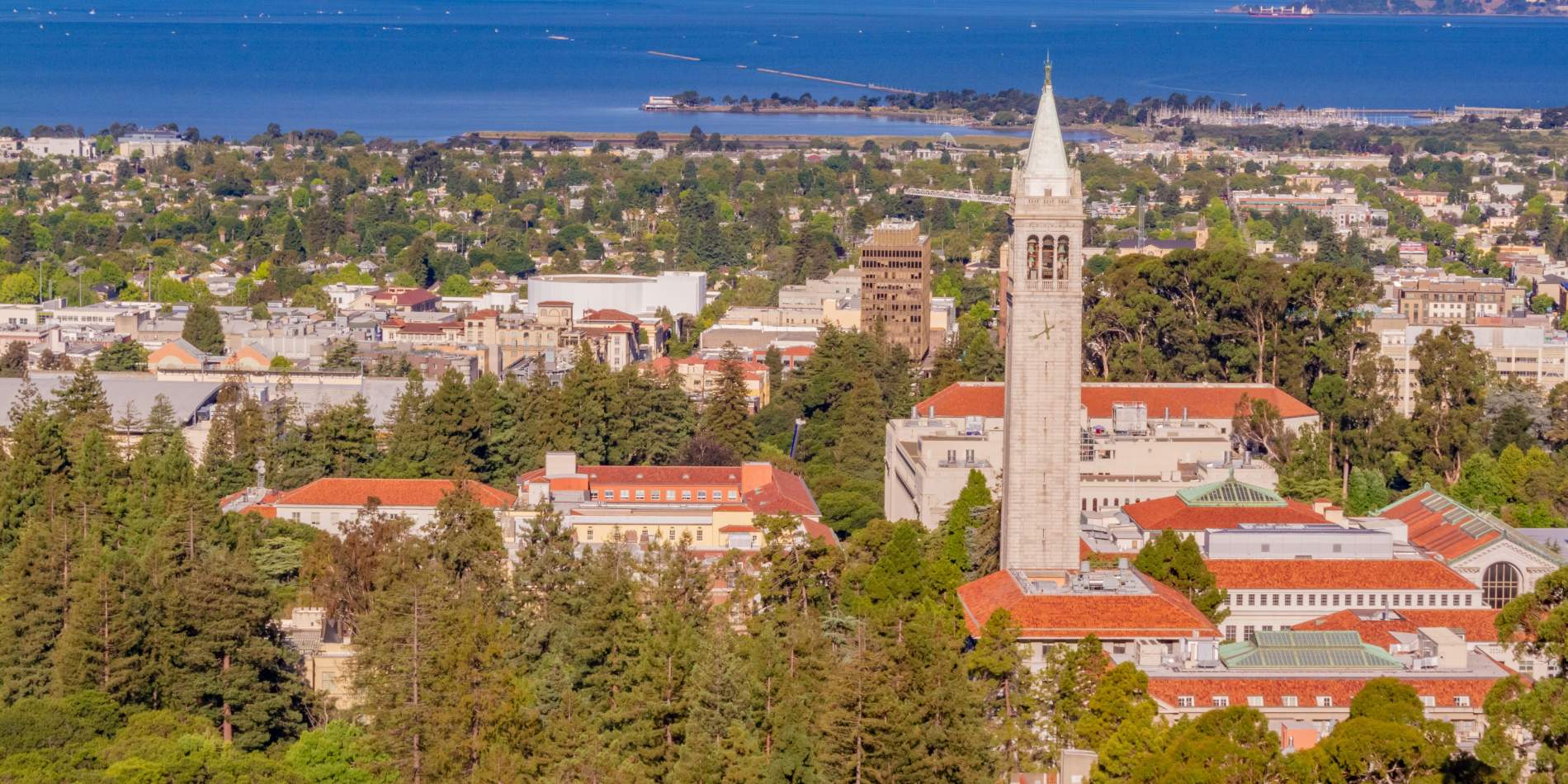 Black-Owned Businesses & Restaurants in Berkeley | Visit Berkeley