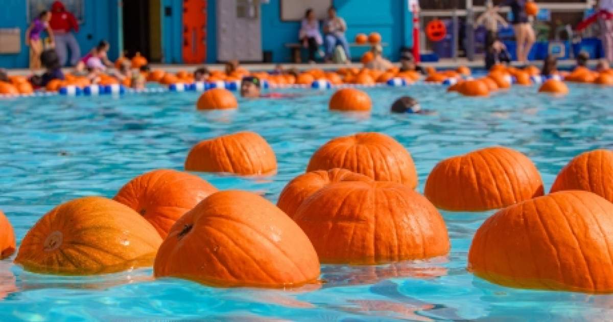 Floating Pumpkin Patch - Visit Berkeley
