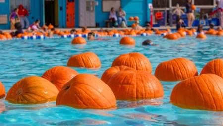 Floating Pumpkin Patch - Visit Berkeley