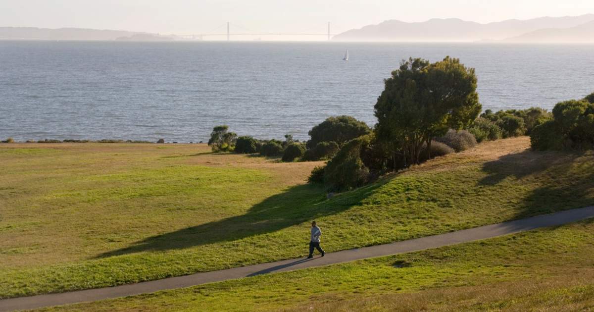 Berkeley Frequently Asked Questions